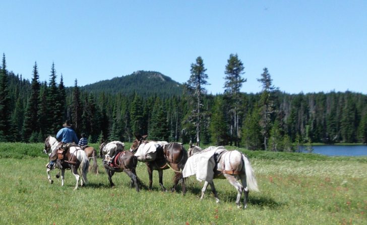 HOME – Future Members | Back Country Horsemen of America