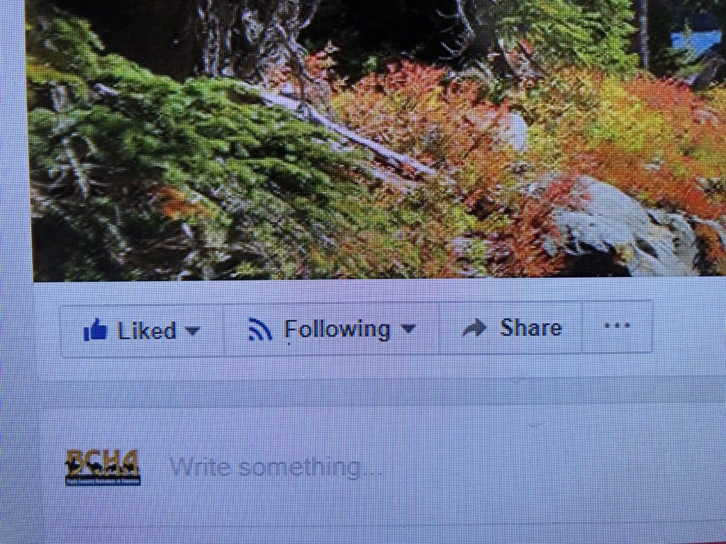 BCHA Facebook info | Back Country Horsemen of America