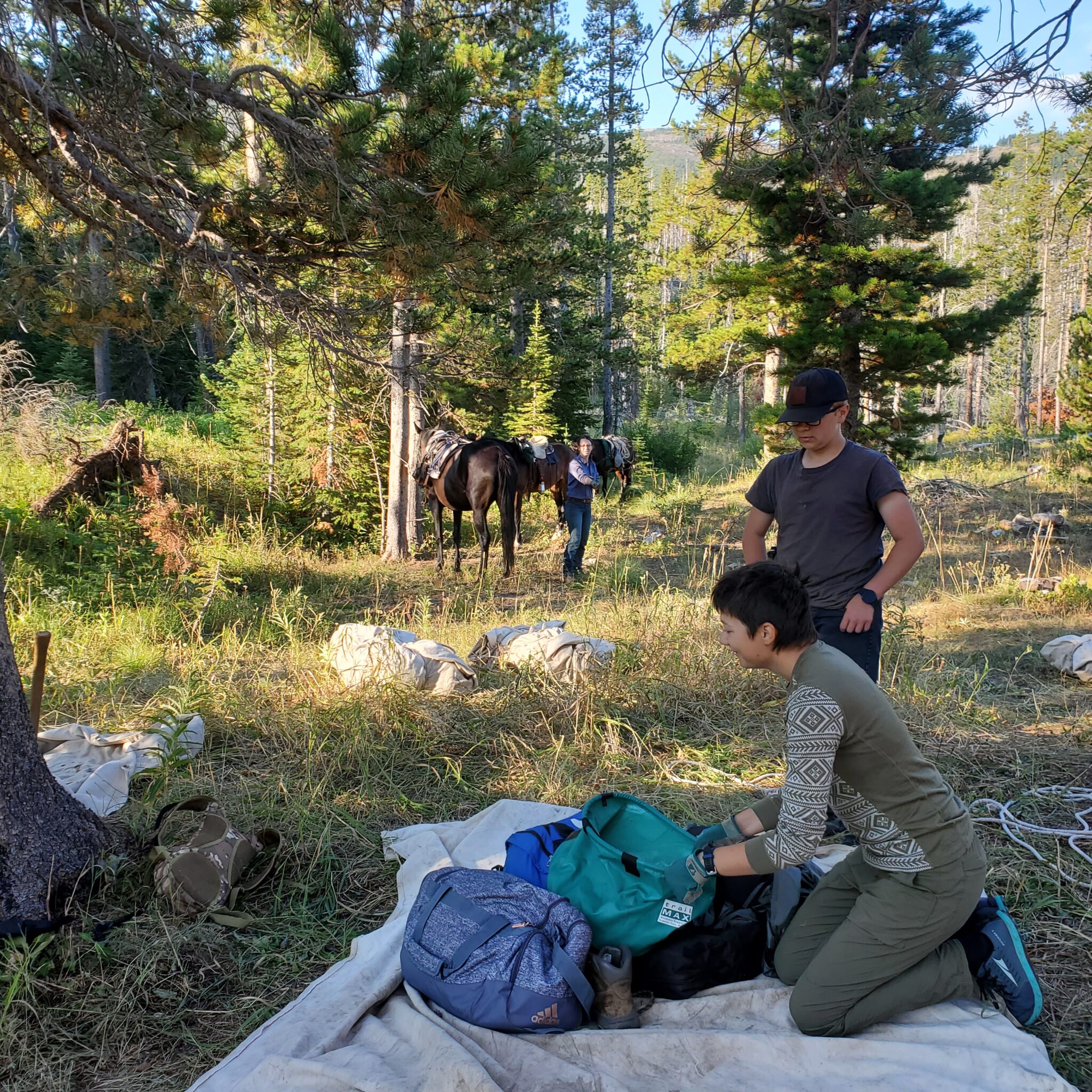 About | Back Country Horsemen of America