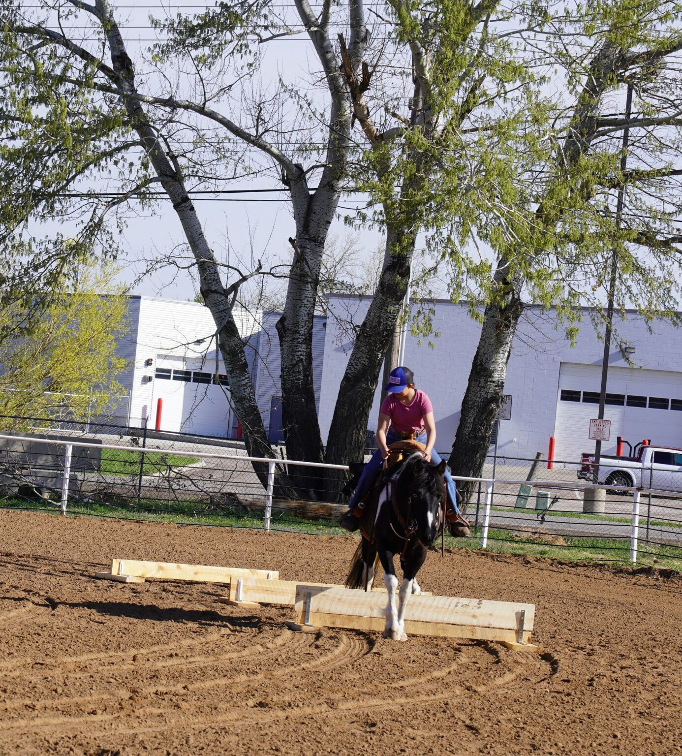 BCHA Youth | Back Country Horsemen of America
